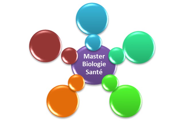 Master 1 SCM – DIJON | M2R SCM
